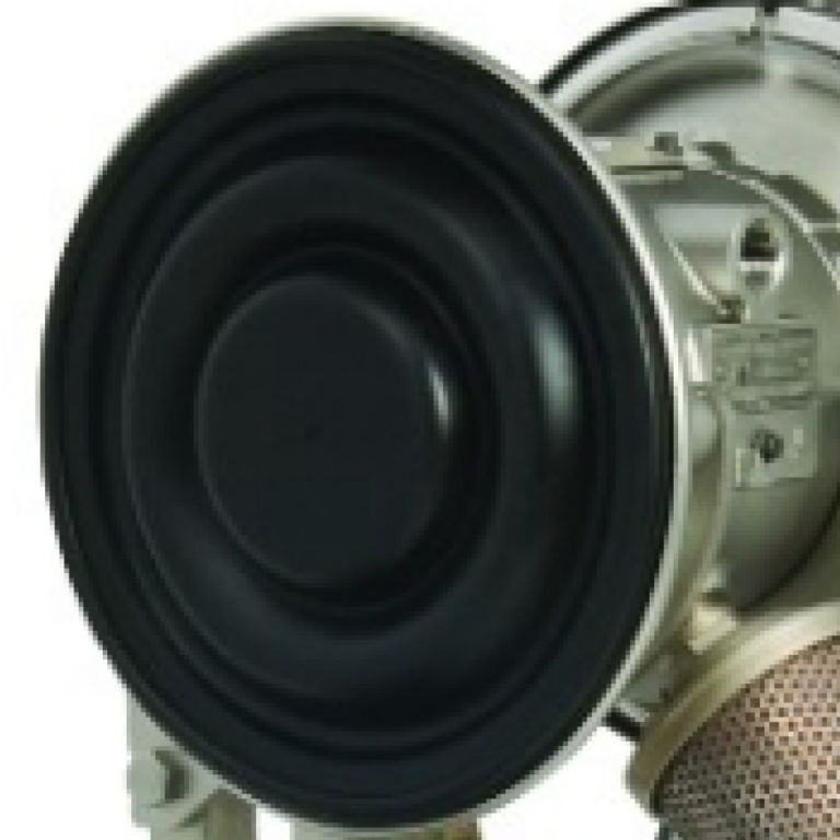 SaniForce 3150 3A Double Diaphragm Pump - GPlus Thailand